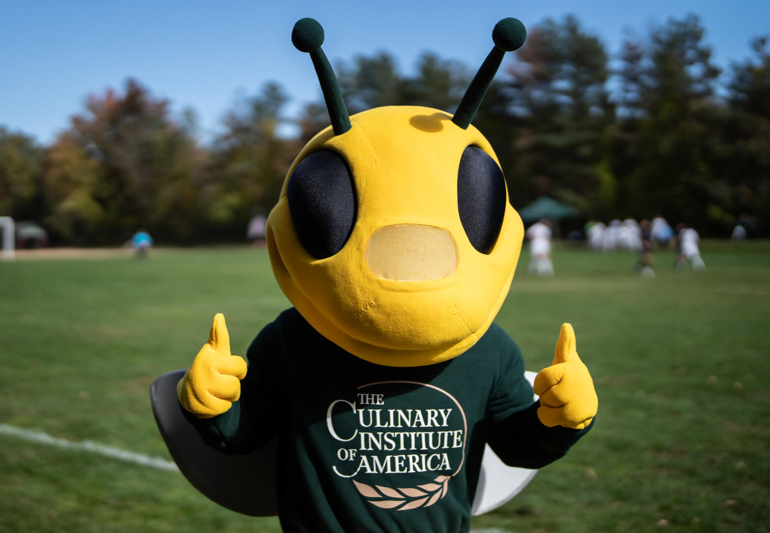Culinary Institute of America Athletics | CIA