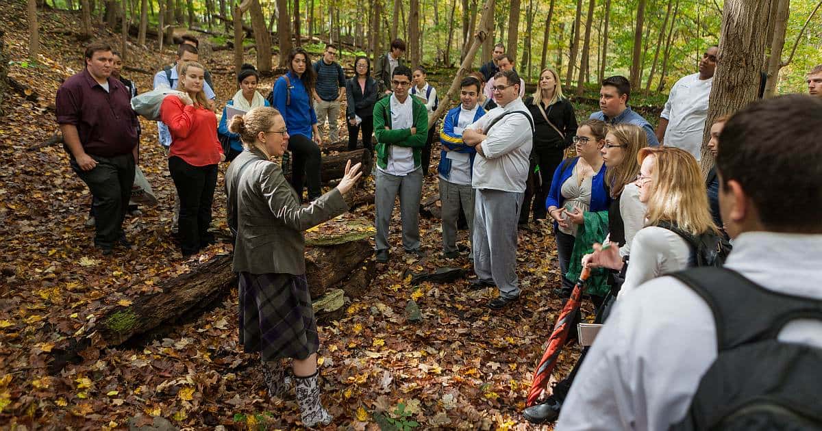 Top 7 Careers for Applied Food Studies Grads! | CIA Culinary School